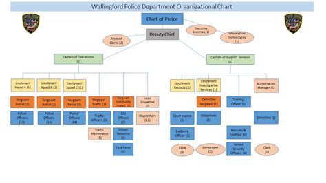 Our Team Wallingford Ct Police Department
