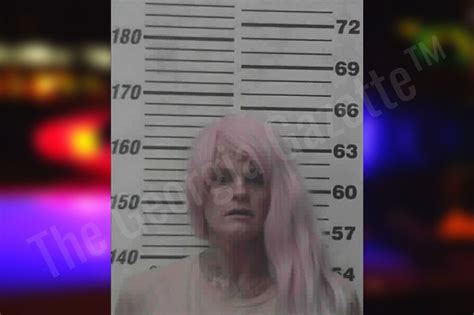 Suzanne Fincher — Meriwether County Jail Bookings