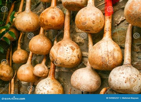 Dried Calabash Gourd At Sandra Mcgregor Blog