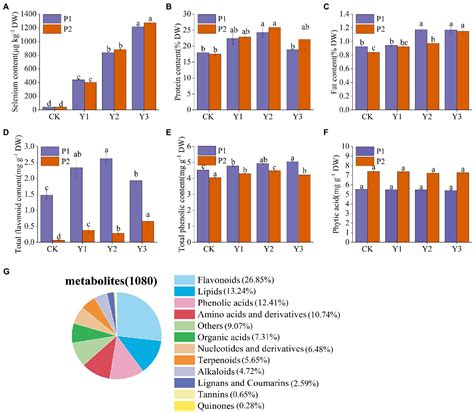 Frontiers Effects Of Exogenous Selenium Application On Nutritional Quality And Metabolomic