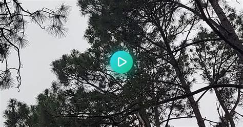 Tornado Watch Album On Imgur