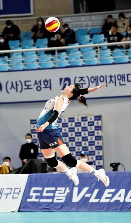 강소휘 스파이크서브때 몸 휘어서 때리는거 개멋있오 야구 에펨코리아