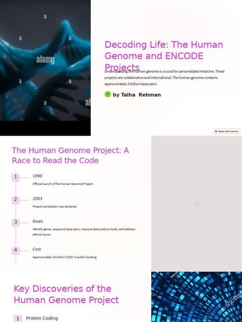 Decoding Life The Human Genome And Encode Ai Pdf Human Genome Genome
