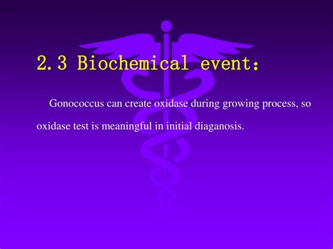 Ppt Gonorrhea Causes Symptoms And Treatment Powerpoint