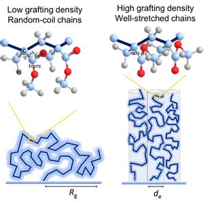 浙江理工大学高分子表界面实验室j Phys Chem Lett ：接枝高分子链取向的微观构象起源 中国聚合物网科教新闻