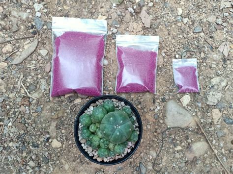 Starkle G Insecticide Preciouscactus