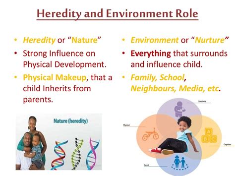 Ctet Influence Of Heredity And Environment