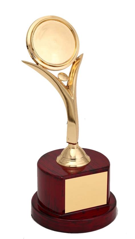 Corporate World Plain 335 Gm Gold Plated Brass Trophy For Award Ceremony At Best Price In New Delhi