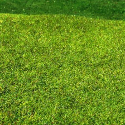 Grass And Landscape Mats