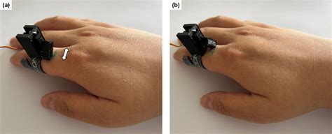 Figure 1 From Investigating Passive Haptic Learning Of Piano Songs