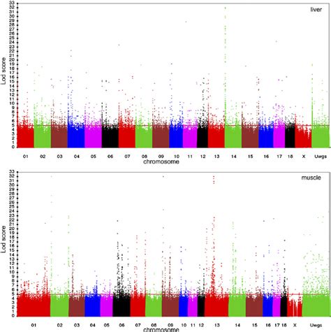 Manhattan Plots Displaying The Signi Fi Cance Of Associations Of Snp