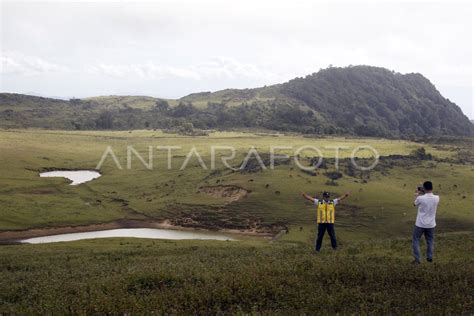 Wisata Padang Savana Fulan Fehan Antara Foto