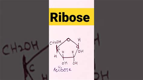 How To Draw Ring Structure Of Ribose Youtube