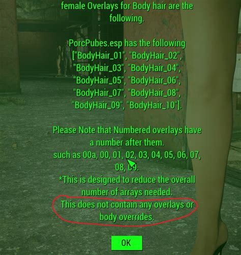 Random Overlay Framework Page 22 Downloads Fallout 4 Non Adult