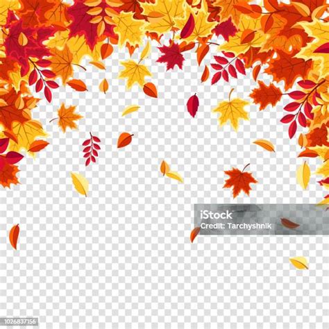 떨어지는을 단풍 빨간색 주황색 노란색 단풍으로 자연 배경 잎을 비행 시즌 판매입니다 벡터 일러스트 레이 션 0명에 대한 스톡
