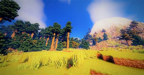 Forest Terrain With Shaders Album On Imgur