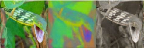 Unexpected Information In Topbottom Levels · Issue 15 · Rosinalityvq Vae 2 Pytorch · Github