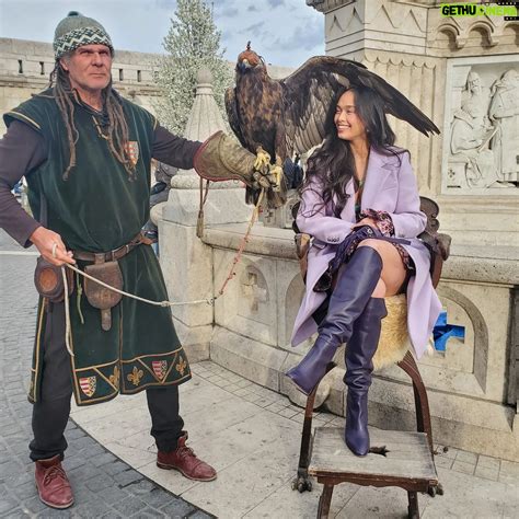 Vinessa Vidotto Wiki Biography Age Gallery Spouse And More