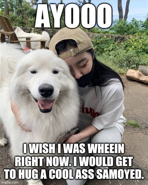 The Cute Pupper Be Smiling And Shit 🥺🥺 Rkbuddyretard