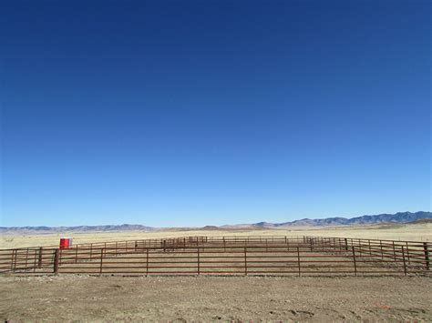 Livestock Corrals Taliaferro Fence