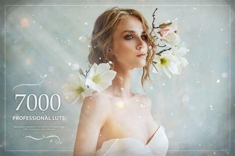 7000 Professional Luts Look Up Tables