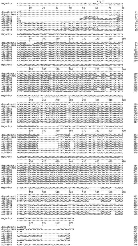 Alignment Of Dbpa Nucleotide Sequences From B Afzelii And B Garinii