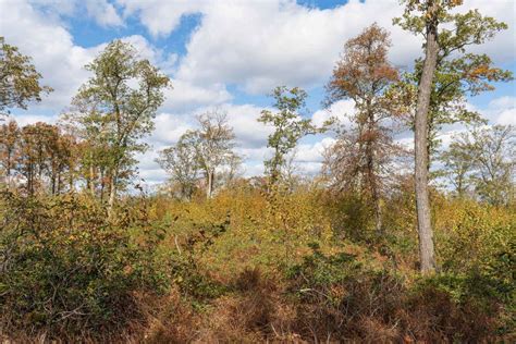 Rag Hollow Road Pennsylvania Gps Trail Map Conditions And Difficulty Onx Offroad