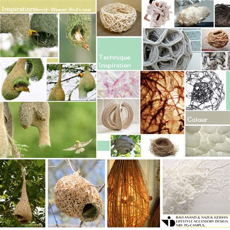 Weaver Bird Nest Inside