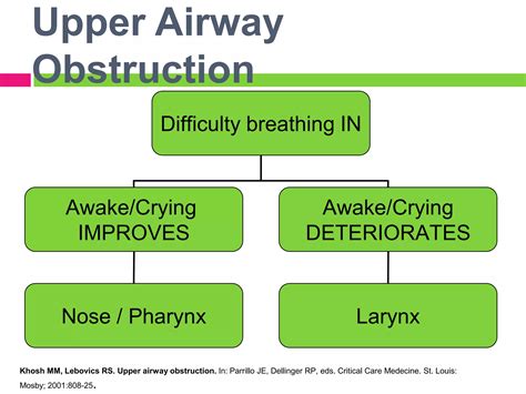 Upper Airway Obstruction Pptx