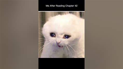 Kotlc Fitzphie Dexphie Or Sokeefe Shorts Viral Keeperofthelostcities Youtube