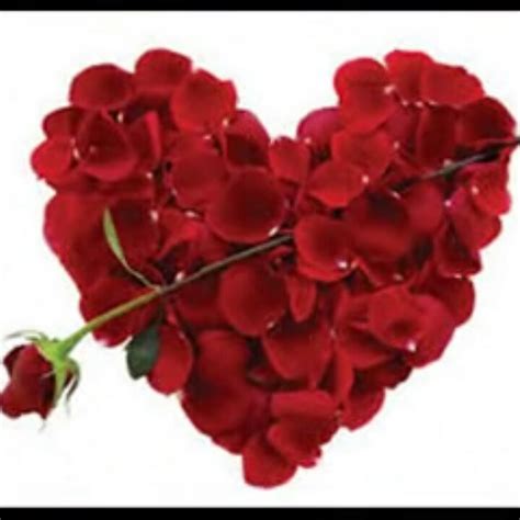 نونو الدلوعه Youtube