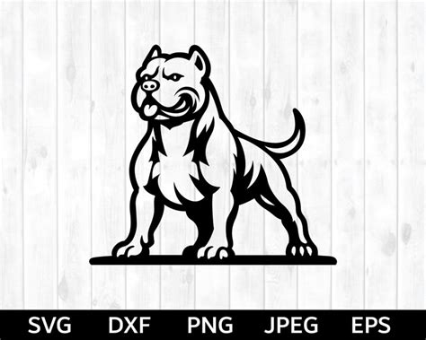 Pitbull Svg Pitbull Png Pitbull Silhouette And Cricut Cut File Pitbull Clip Art Etsy Canada