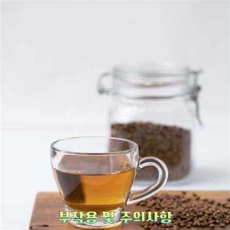 보리차 효능 영양성분 고르는법 부작용