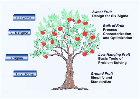 Sixsigma Processimprovement Qualityexcellence Lean Six Sigma Global