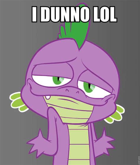 I Dunno Lol Meme Qustamazon