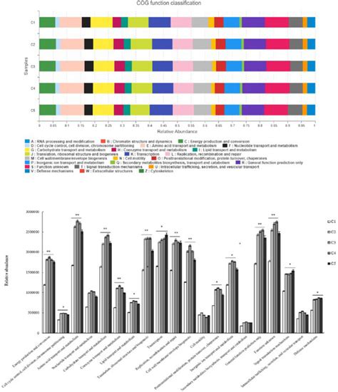 Selenium Enriched Bacillus Subtilis Yb 114246 Improved Growth And Immunity Of Broiler Chickens