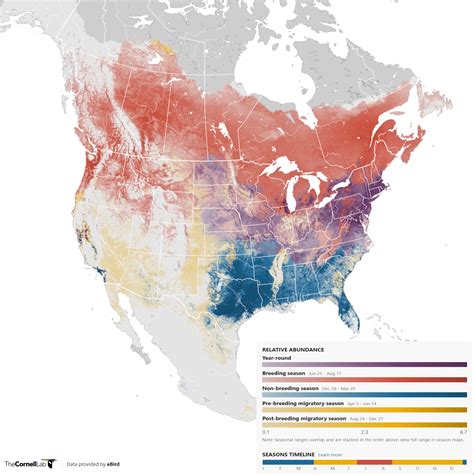 Cedar Waxwing Shadetreeimaging