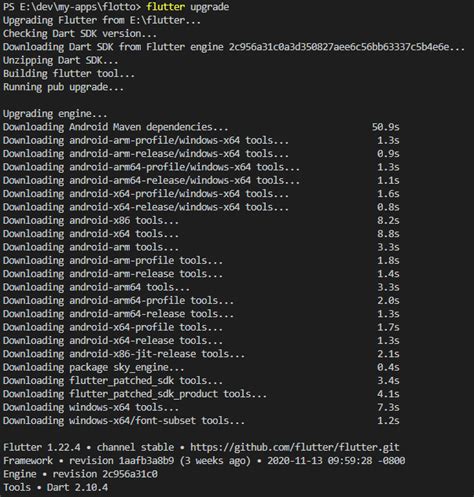 Flutter The Dart Analyzer Has Terminated Only Young