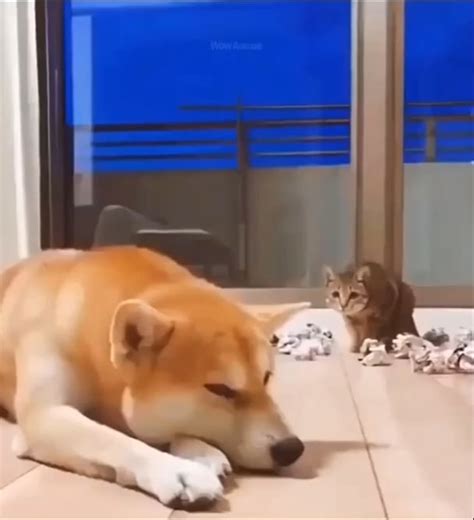 Stalking Her Prey R Unexpected