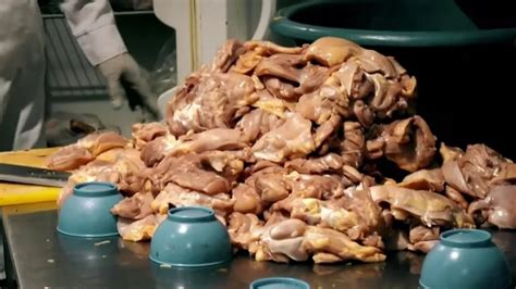 Comida Reusada Cucarachas Moscas Y Arañas Estos Son Los Restaurantes