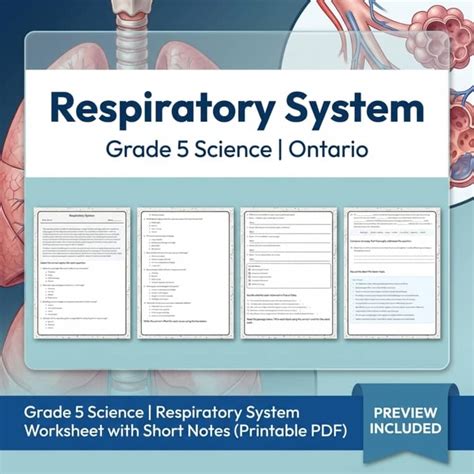 Grade 5 Science Respiratory System Worksheet With Short Notes