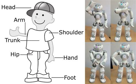 Human Robot Body