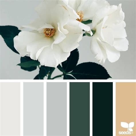 Color Schemes 100 White Color Palettes Ideas To Save Today Colour