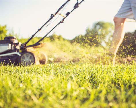 Heat Stressed Lawn Care 5 Tips To Help Grass Survive Summer