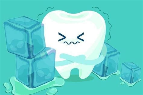 Classification Of Teeth Glorious Dental Materials Co Ltd