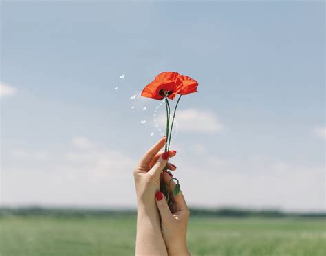 Simulgel™ Ns Squalane Based Versatile Liquid Polymer