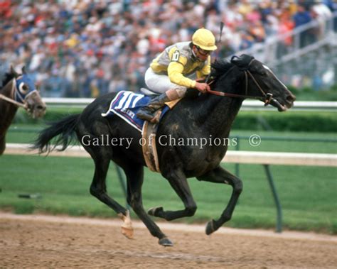 Sunday Silence 1989 Kentucky Derby Photo Etsy