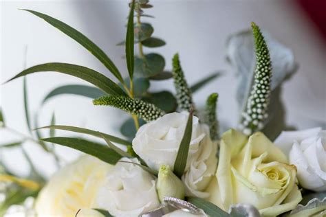 Ls Events Planner Vérifiez La Disponibilité Et Les Prix