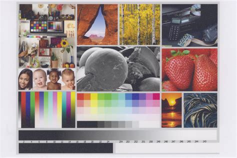 Printer Calibration Calculator At Kenneth Bray Blog