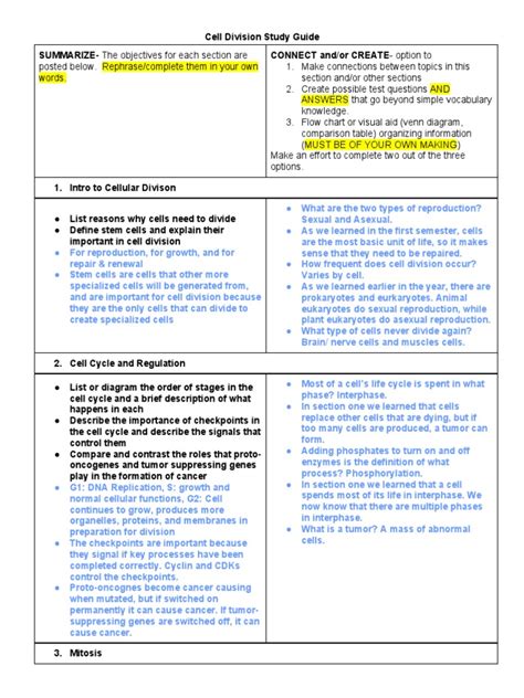 Cell Division Study Guide Pdf Meiosis Mitosis